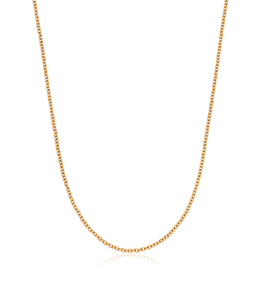 Fine Chain Necklace (Gold) – Abbott Lyon